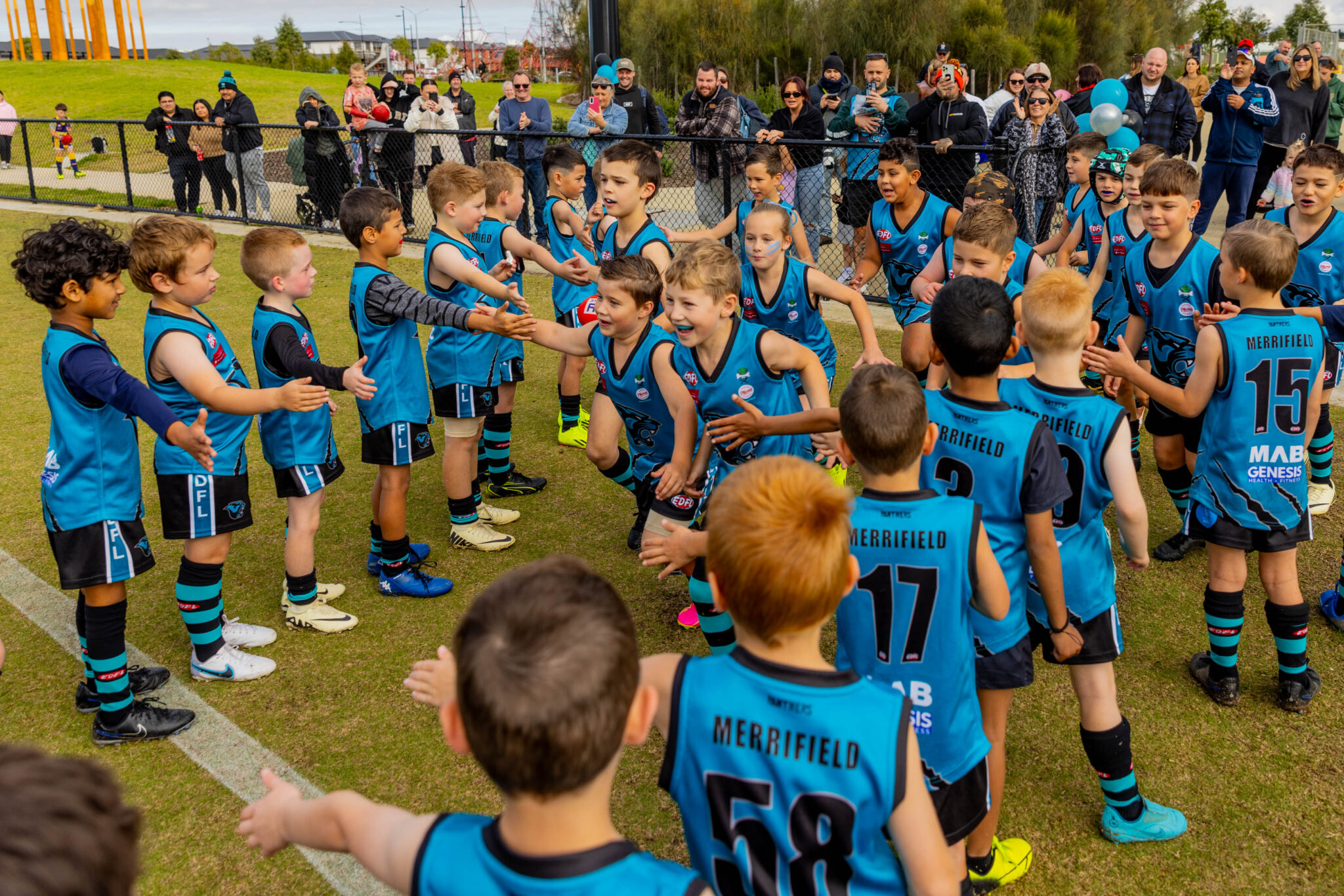 Merrifield Panthers Case Study - MAB